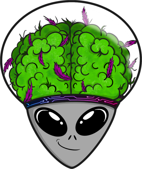 BudBrain under learning process - BudBrain.AI
